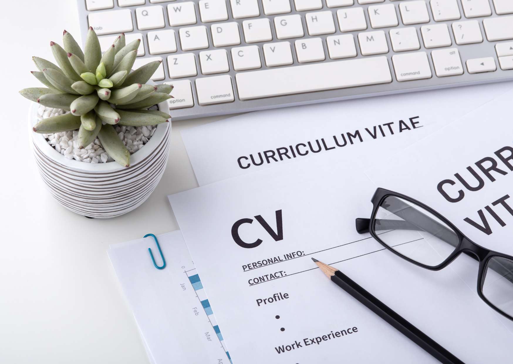 CV Writing Basics - Learnexus
